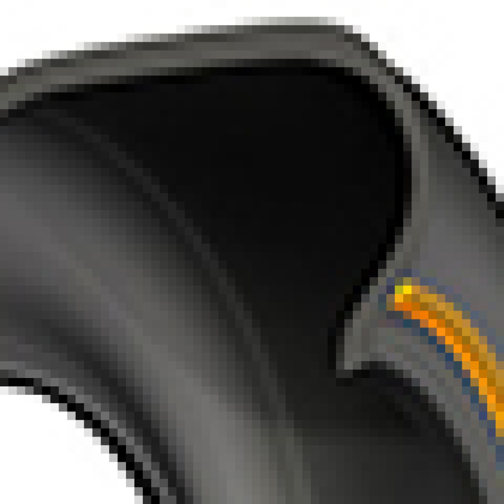 Rim-Flange-Protector | GOODYEAR